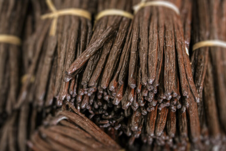 4 Types of Madagascar Vanilla Beans Explained - Network Info